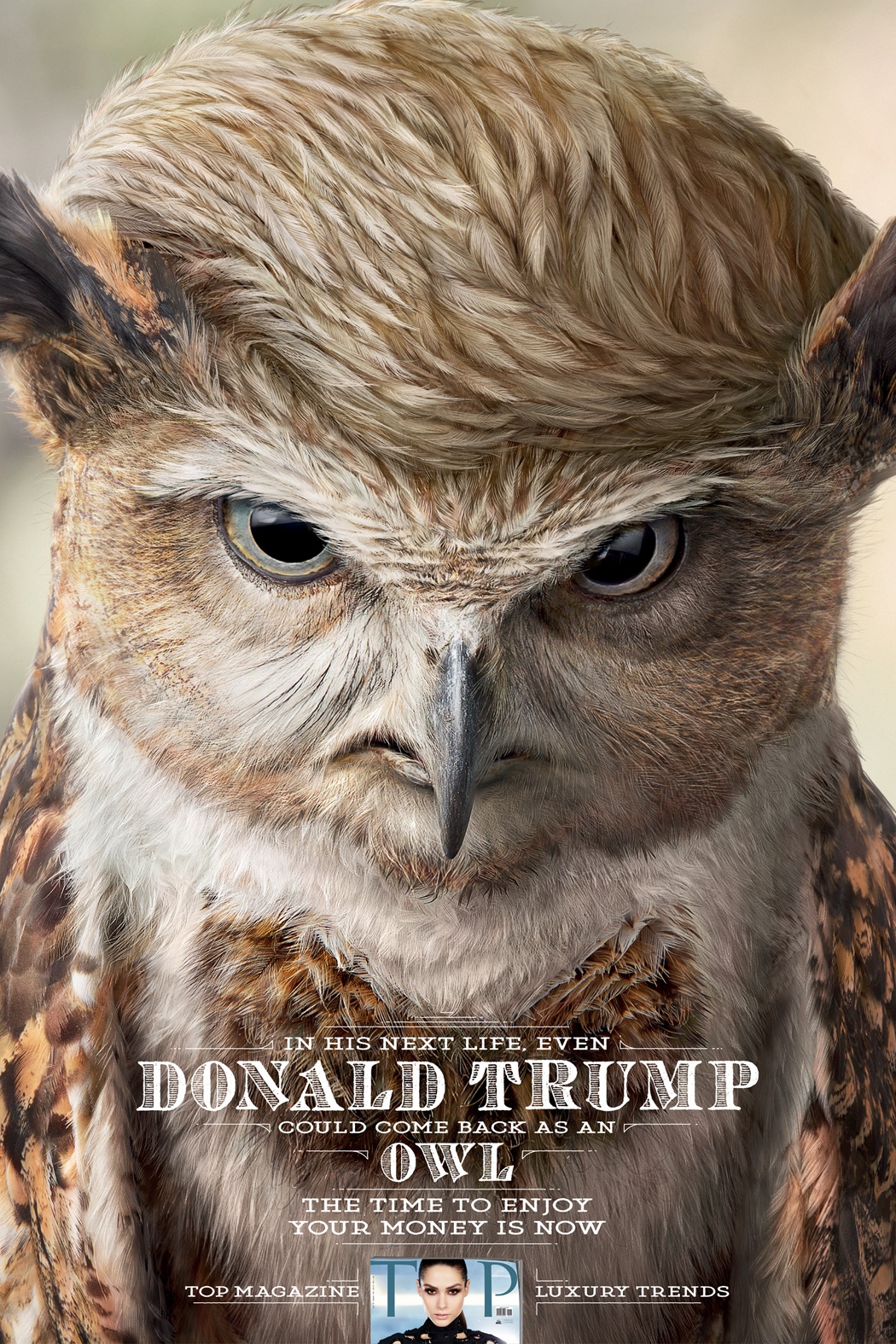 TOP Magazine Print Advert By BBDO Donald Trump Ads Of The World 