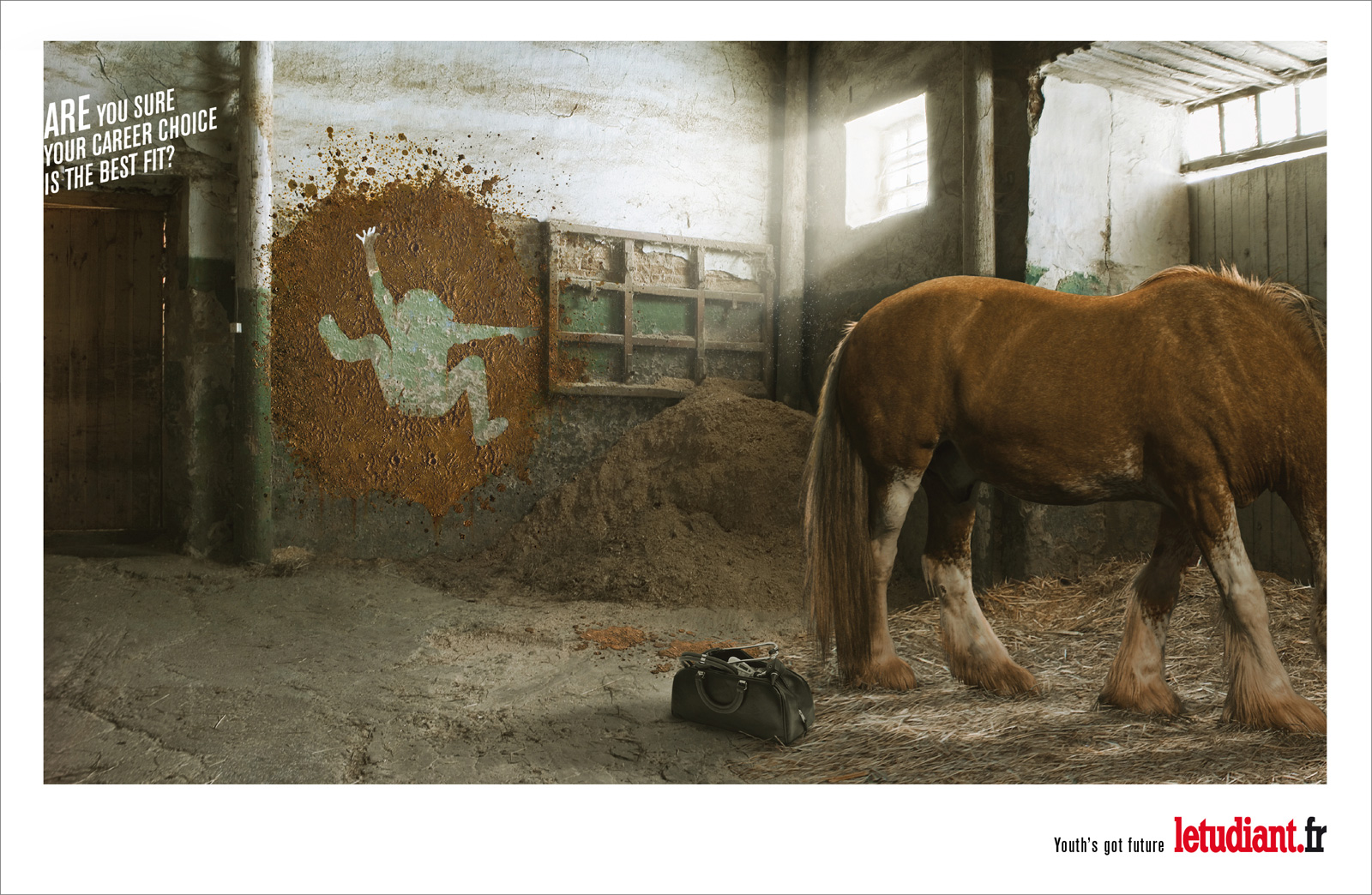 Veterinarian Advertisement