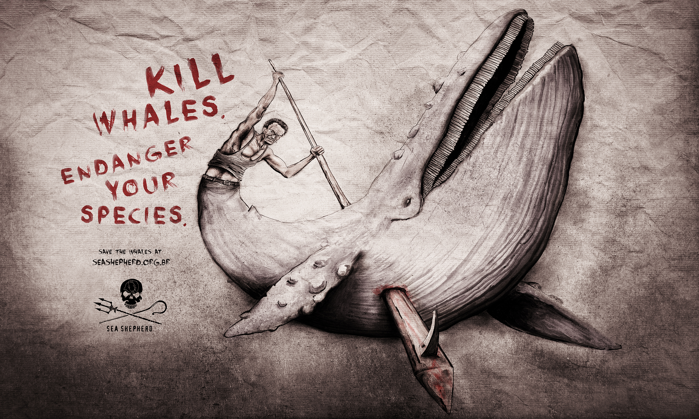 Sea Shepherd Print Advert By Heads: Whale | Ads of the World™