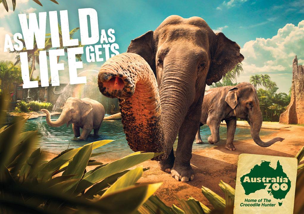 Australia Zoo Print Advert By : Elephants | Ads of the World™