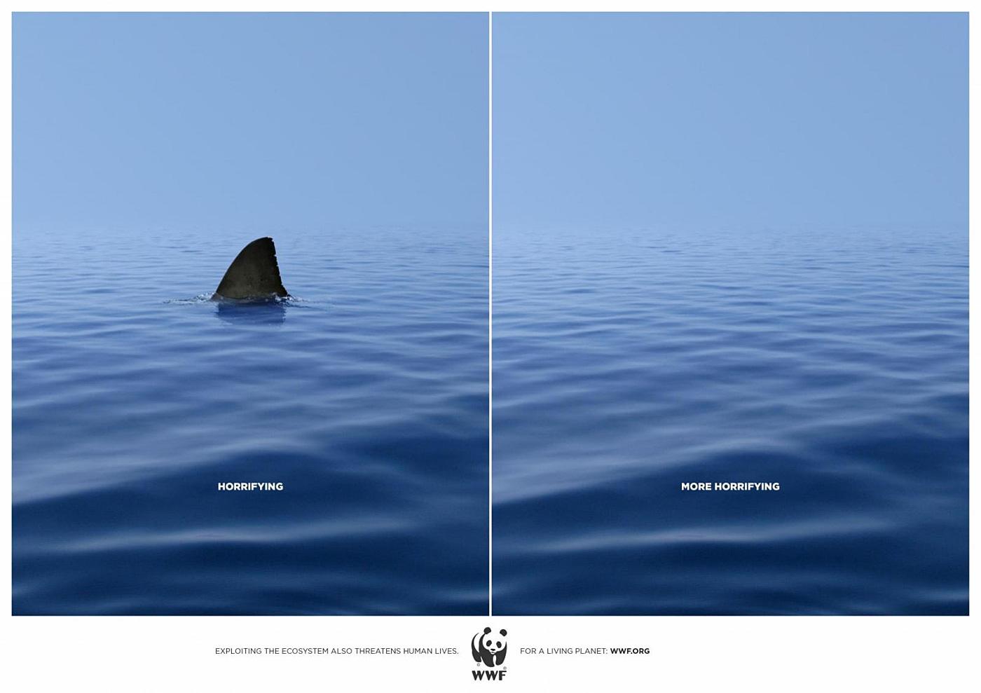WWF Print Advert By DDB: Shark | Ads of the World™